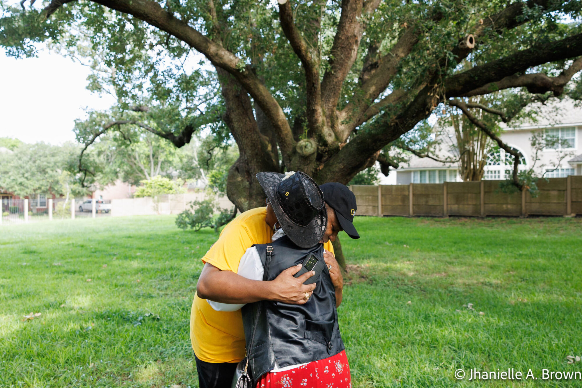 The Freedom Tree - Black Heritage Trees